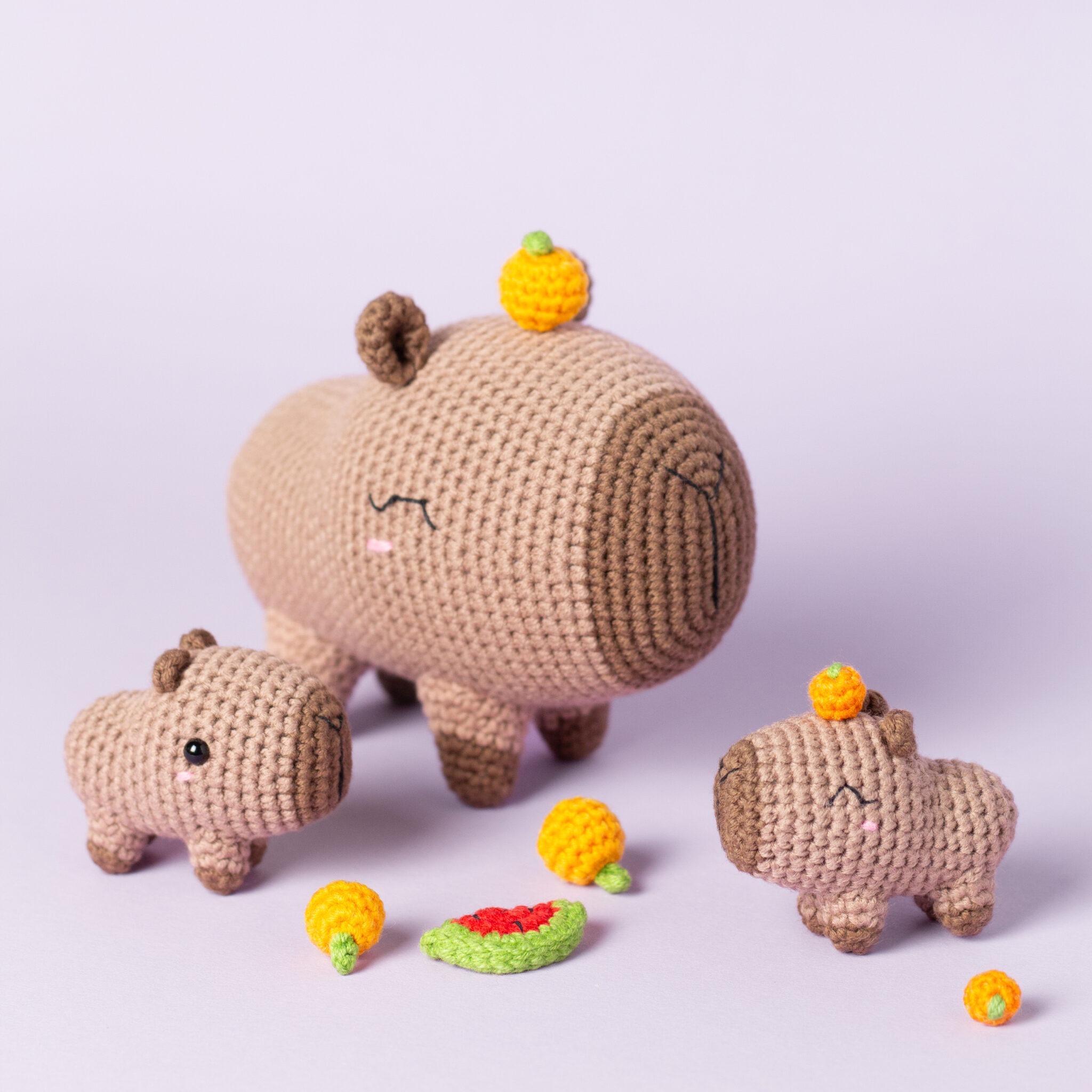 Animals – Planet Piu